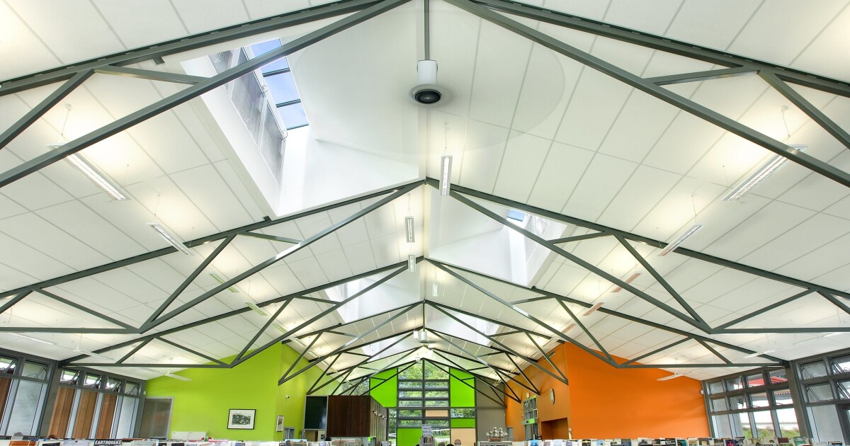 Nothing standard about Asona's Triton 25 - Asona